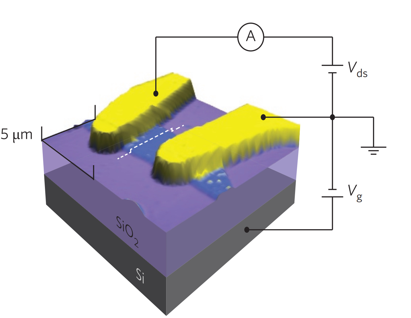2D semiconductors – Zhang & Ruan Lab